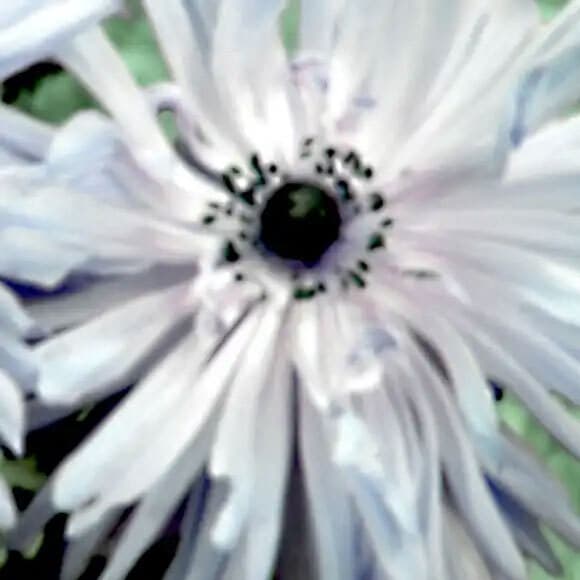 Sapino A Terrasse- og facadedøre | NorDan Vinduer